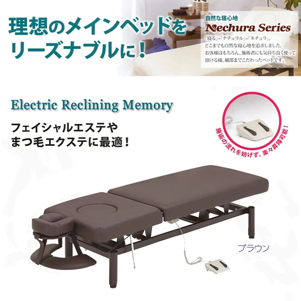 新品/送料無料】 『電動ハイローリクライニングベッド 枕3点 新品/送料無料】 『電動ハイローリクライニングベッド 枕3点